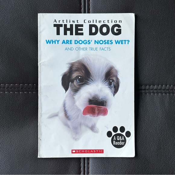 Scholastic | Other | Artlist Collection The Dog Paperback Scholastic Qa Reader Rare | Poshmark